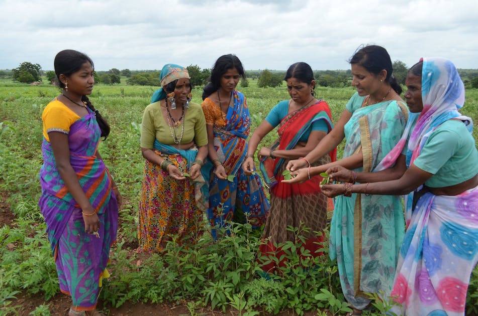 Empowering Rural Women As Agricultural Entrepreneurs In The Marathwada